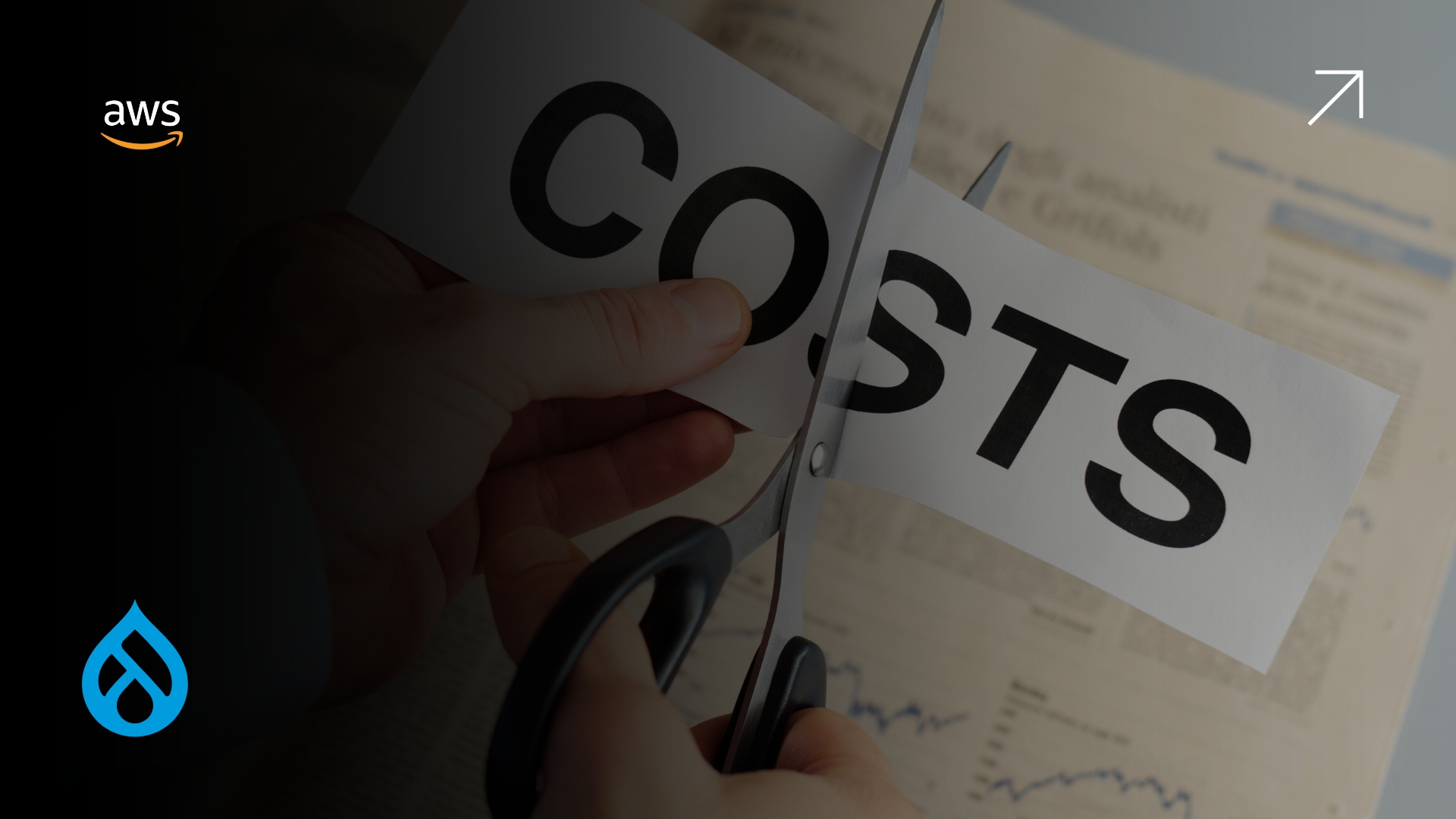 The Top 5 AWS Cost Optimization Tools Every Drupal Site Should Use