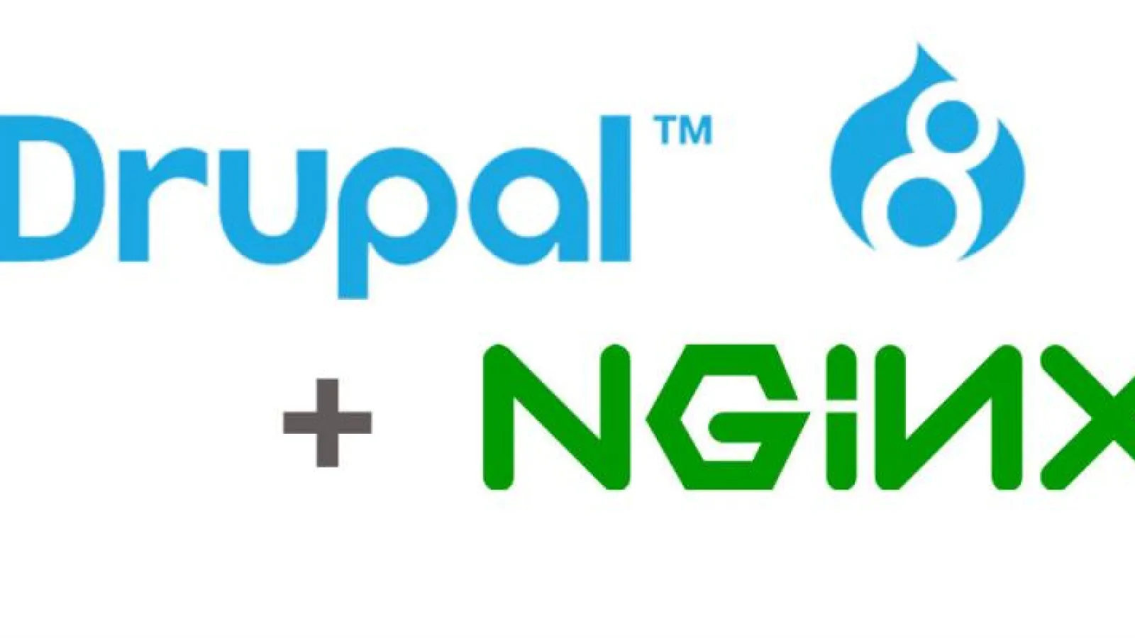 NGINX Default Configuration File For Drupal 8 NGINX Default Configuration File For Drupal 8
